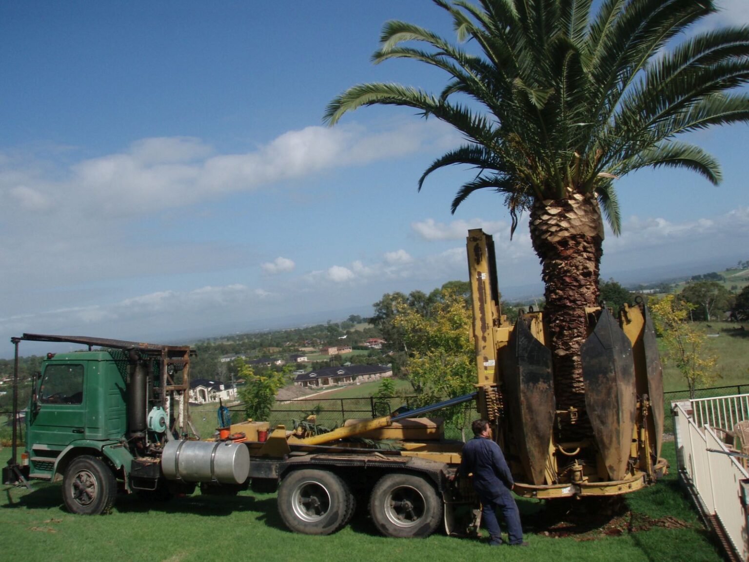 The Arborist Network – Connecting People and Trees